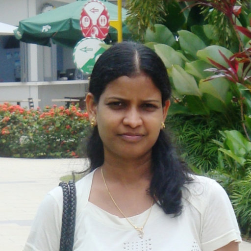 Our Collaborator Team